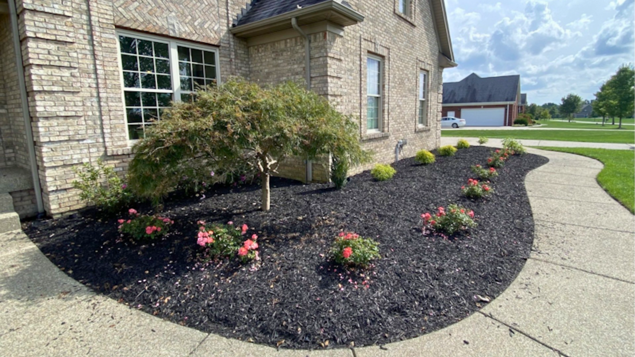 Hardscape vs. Landscape: What’s the Difference and Why You Need Both